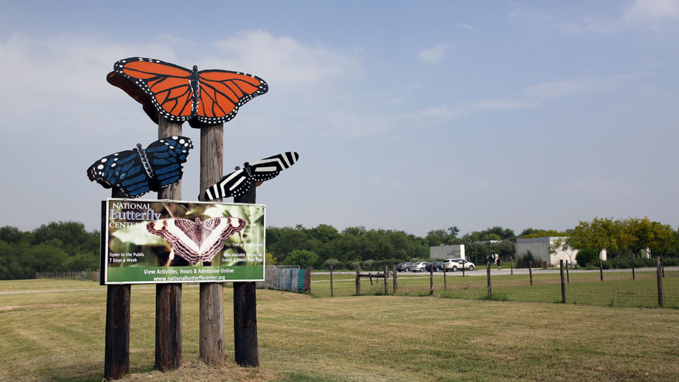 Fly Zone - Scrawl Place