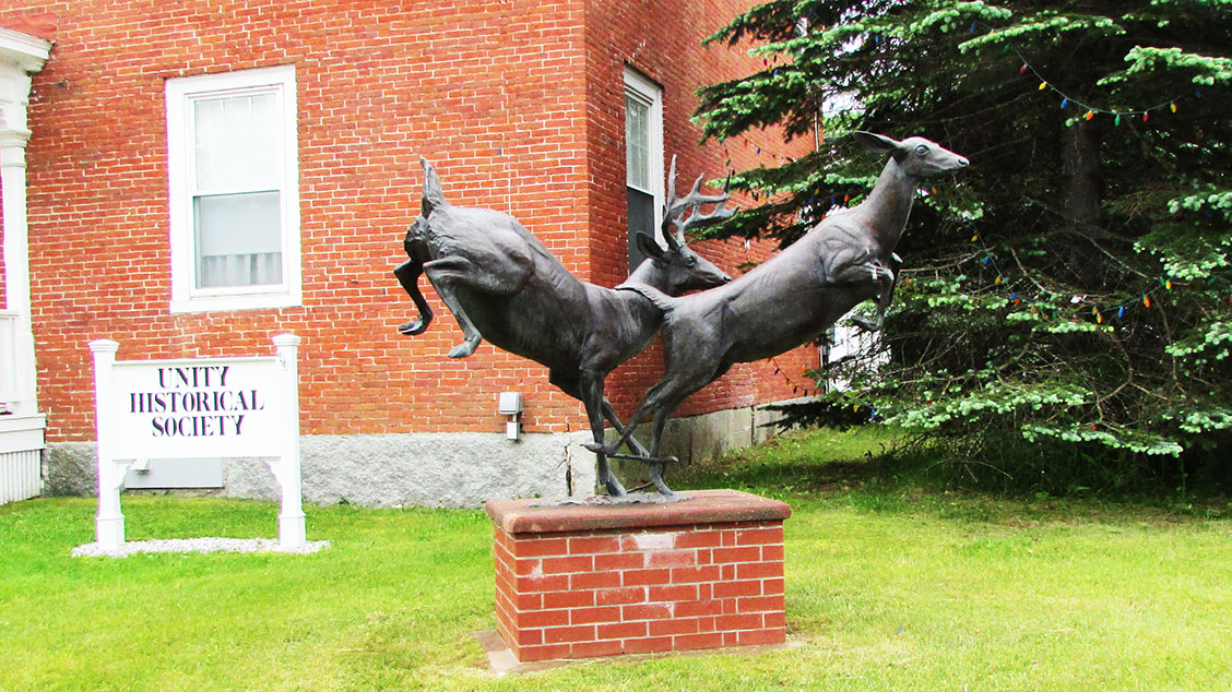 Shrooms in Unity, Maine - Scrawl Place