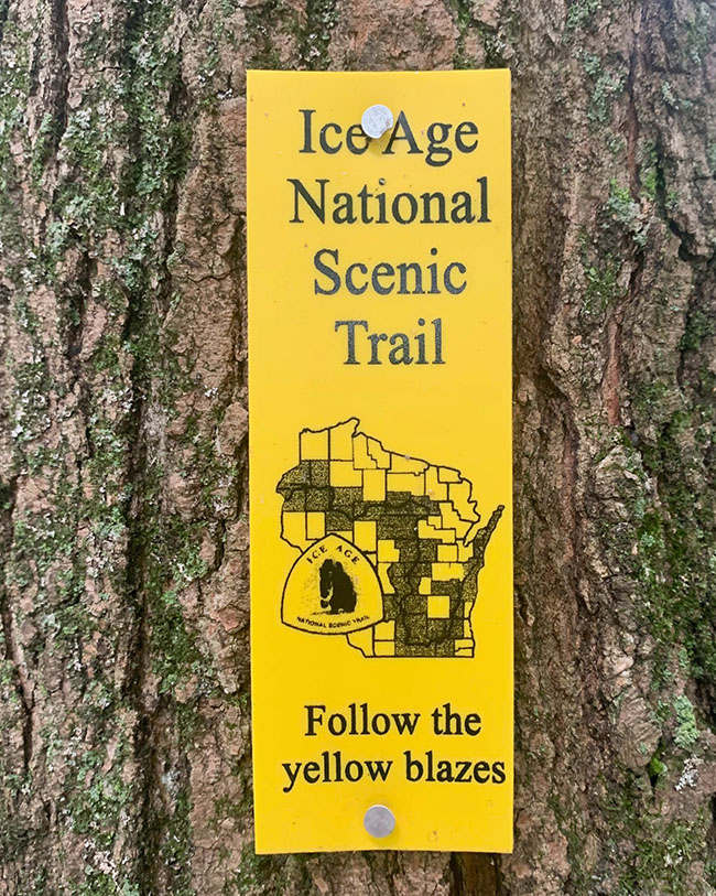 Misfit - Scrawl Place